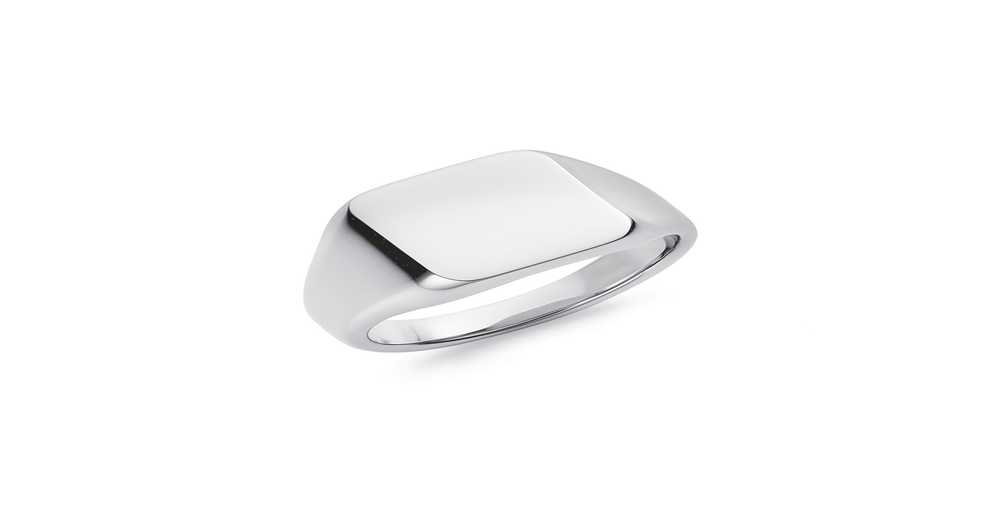 Chisel Stainless Steel Signet Ring Size X | Goldmark (NZ)